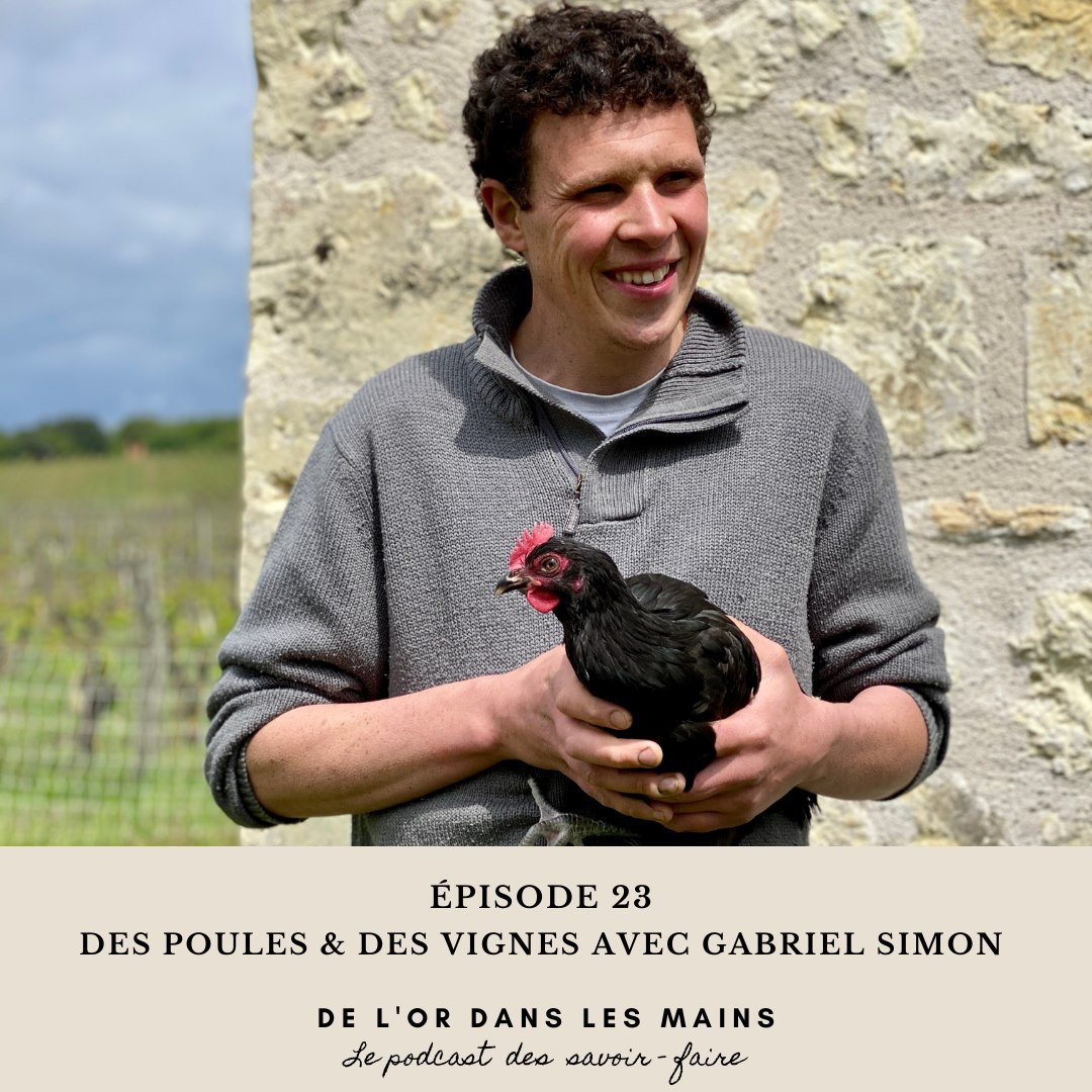 [Podcast] De l'or dans les mains #23 Des poules et des vignes avec ...