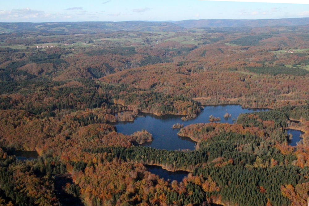 Les mille étangs, une petite Finlande au pied des Vosges (1) - Mag ...