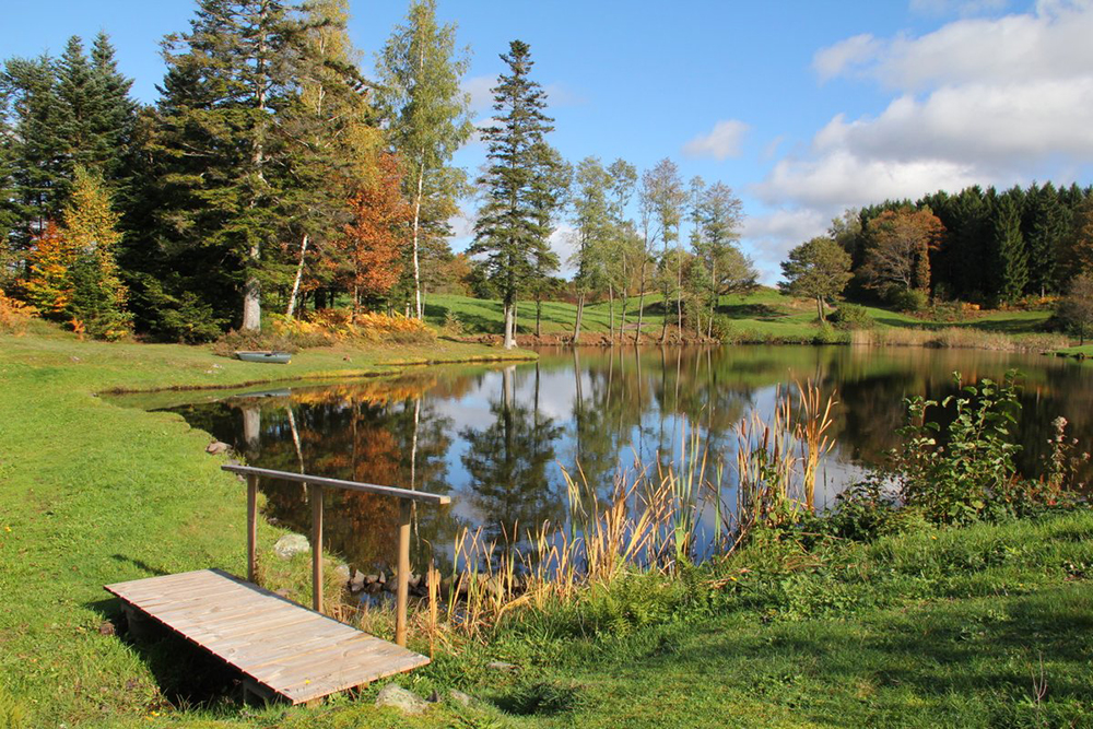 Les mille étangs, une petite Finlande au pied des Vosges (3) - Mag ...