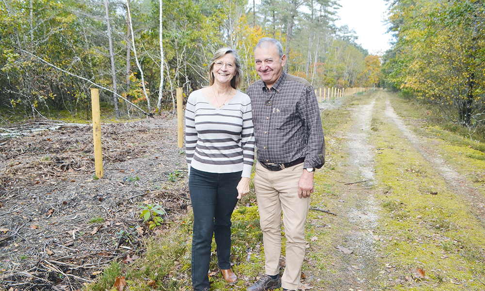 Sologne : de nouvelles clôtures, et encore illégales ? - Mag ...