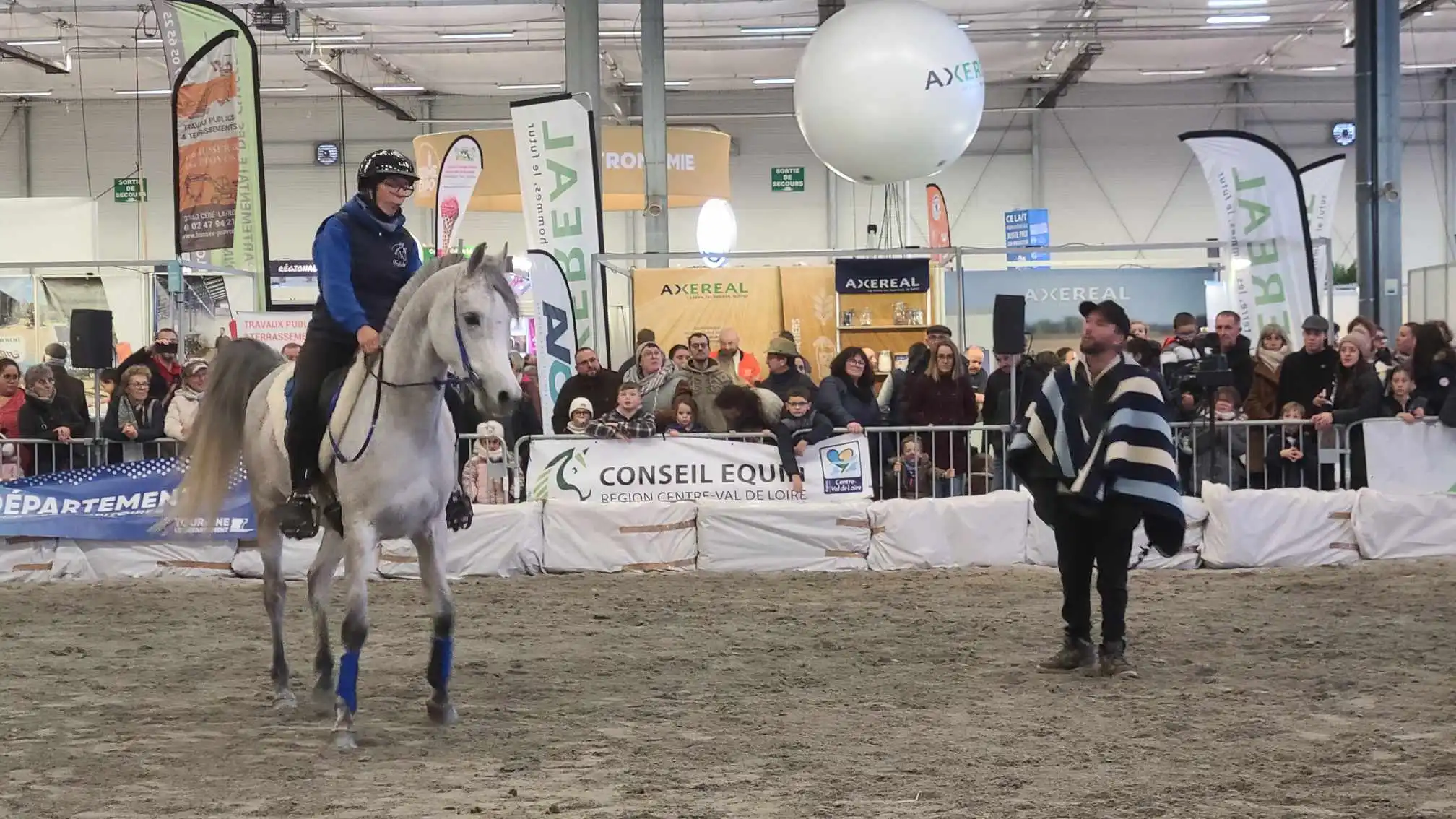 Léa Lansade, cette Tourangelle qui décrypte les émotions des chevaux ...